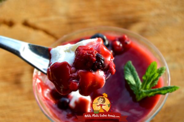 Recette de la Panna cotta aux fruits rouges | Petits Plats Entre Amis