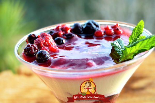 Recette de la Panna cotta aux fruits rouges | Petits Plats Entre Amis