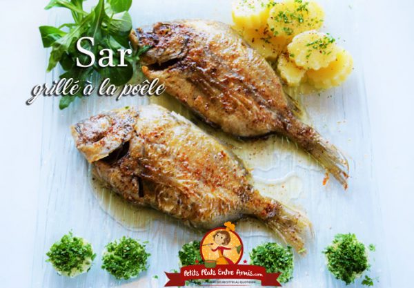 Recette de sar grillé à la poêle | Petits Plats Entre Amis