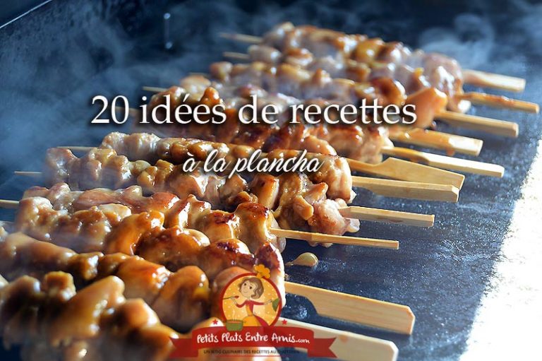 20 idées de recettes à la plancha | Petits Plats Entre Amis