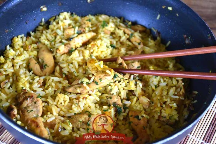 Riz au poulet sauce soja : une recette savoureuse et facile | Petits Plats Entre Amis